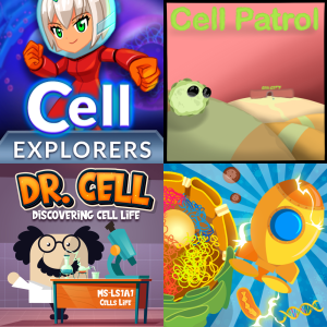 Free Homework Prep: Structures and Functions of Single Celled Organisms ...