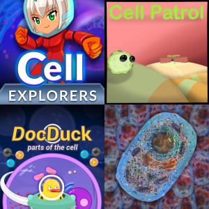 For Class: Prokaryotic and Eukaryotic Cells 6.12B - Free Games and ...