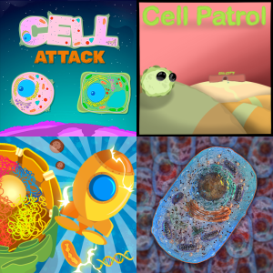 Student Lesson: Prokaryotic and Eukaryotic Cells 6.12B - Free Games and ...