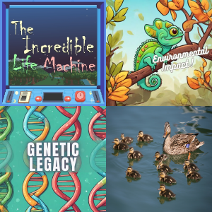 Lesson: Genetic Legacy - Free Games and Videos - Legends of Learning