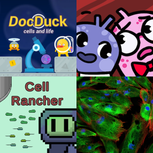 Student Lesson: Cell Theory 7.12F - Free Games and Assessments ...