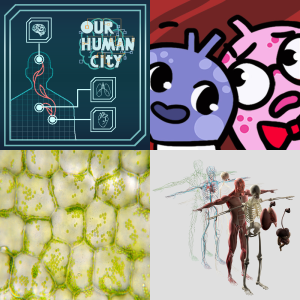 Free Lesson: The Body's Subsystems 7.LS1.5 - Free Games and Assessments ...