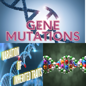 Game Based Learning: Genes and Traits MS-LS3.A-1 - Free Games and ...