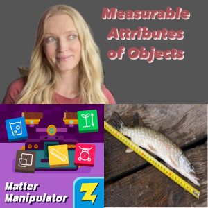 For Class: Measurable Attributes of Objects - Free Games, Assessments ...