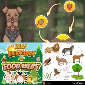 For Class: Food Webs in an Ecosystem MS-LS2.B-1 - Free Educational ...