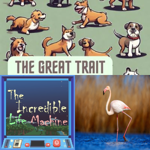 Student Lesson: Organism Traits and Environment ES-LS3.A-2 - Free Games ...