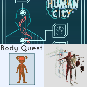 Practice: Human Body Systems 7.12B - Free Games and Assessments ...