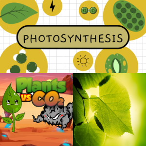 Student Lesson: Photosynthesis MS-LS1.C-1 - Free Games and Videos ...