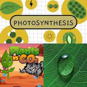 Free Educational Games: Chemical Reactions in Photosynthesis - Free ...
