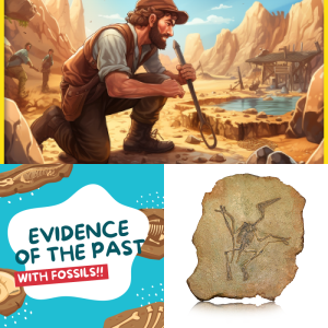 Game Based Learning: Fossil Evidence ES-LS4.A-2 - Free Games ...