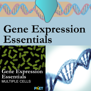 Game Based Learning: Advanced Simulations - Life Science AS.LS - Free ...