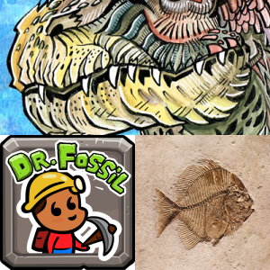 For Class: Introduction to Fossils - Free Games and Assessments ...