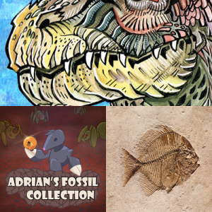 Teaching Plan: Fossil Record MS-ESS1.C-1a - Free Educational Games ...