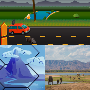 Free Educational Games: Impact of Organisms on the Hydrologic Cycle 6 ...