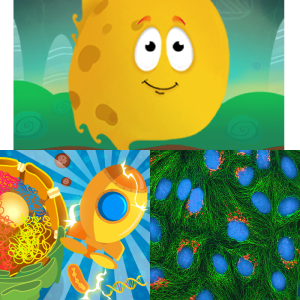 Student Lesson: Parts of the Cell 7.12D - Free Educational Games ...
