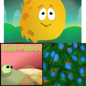 Free Educational Games: Cell and Cell Organelle Review Game - Free ...