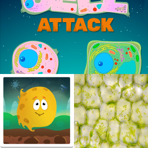 Free Lesson: Assignment - Plants vs. Animals LL - Free Games and ...