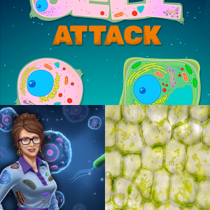 Game Based Learning: Plant vs. Animal Cells SC.6.L.14.4 - Free ...