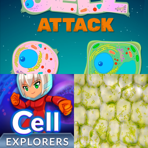 Free Educational Games: Structures and Functions of Plant and Animal ...