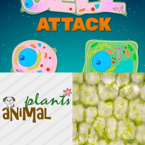 Free Educational Games: Parts of the Cell - Plants vs. Animals MS-LS1.A ...