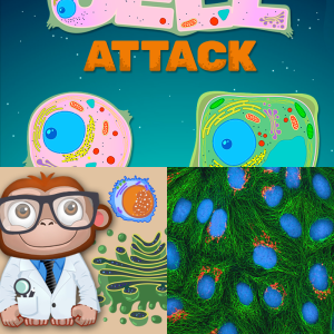 Practice: Cells and Life LS.2c - Free Educational Games - Legends of ...