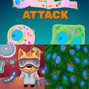 Student Lesson: Assignment - Playlist - Cells and Life - Free Games and ...