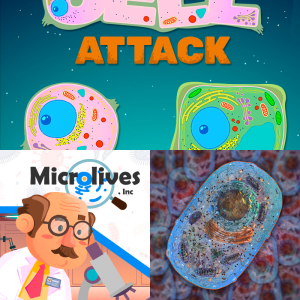 Free Lesson: Structures and Functions of Single Celled Organisms 7.L.1. ...