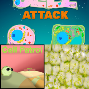 For Class: Plant vs. Animal Cells SC.6.L.14.4 - Free Games and ...