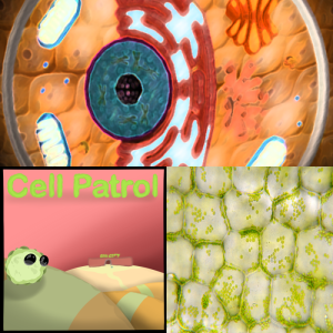 Game Based Learning: Plant vs. Animal Cells SC.6.L.14.4 - Free Games ...