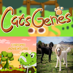 Practice: Variation of Inherited Traits MS-LS3.A-2 - Free Educational ...