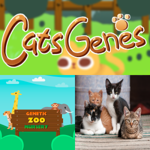 Free Homework Prep: Genetics Practice 1 - Free Games and Assessments ...