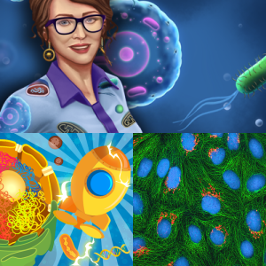 Free Educational Games: Functions of Cells 6.LS.3 - Free Educational ...