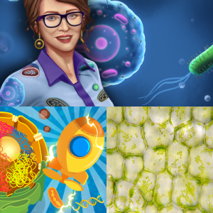 Practice: Homeostasis and the Cell Membrane 7.LS1.2 - Free Games and ...