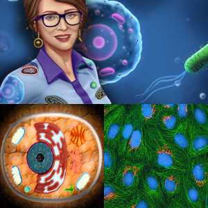 Game Based Learning: Parts of the Cell #1 - Free Games and Assessments ...