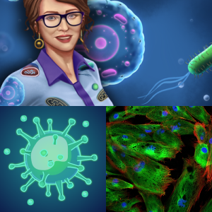 Free Educational Games: Cell Theory SC.6.L.14.2 - Free Educational ...