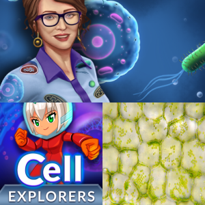 Game Based Learning: Structures and Functions of Plant and Animal Cells ...