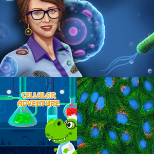 Free Homework Prep: Unicellular and Multicellular Organisms 3.1.6.A6 ...