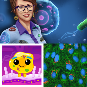 Teaching Plan: Parts of the Cell MS-LS1.A-2a - Free Games and ...