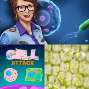 Free Homework Prep: Plant vs. Animal Cells SC.6.L.14.4 - Free ...