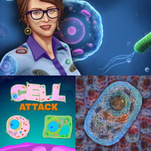 Free Educational Games: Prokaryotic and Eukaryotic Cells 6.12B - Free ...