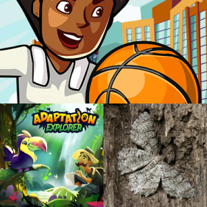 Teaching Plan: Adaptation 3.LS4.2 - Free Educational Games - Legends of ...