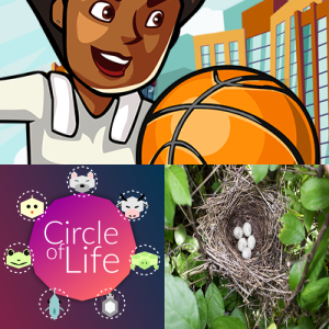 Lesson: Life Cycles of Plants and Animals 3.10B - Free Games and ...