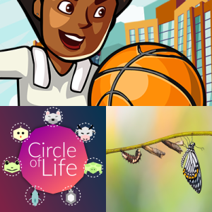 For Class: Life Cycles of Florida's Plants and Animals SC.4.L.16.4 ...