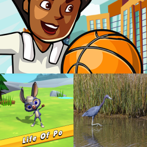 Worksheet: Use Observations to Recognize Basic Needs of Plants and ...