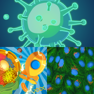 Game Based Learning: Parts of the Cell 7.12D - Free Educational Games ...