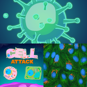 Free Lesson: Parts of the Cell 7.12D - Free Games and Assessments ...
