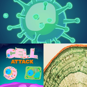 Free Educational Games: Cells and Structures of Organisms 7.L.3A - Free ...