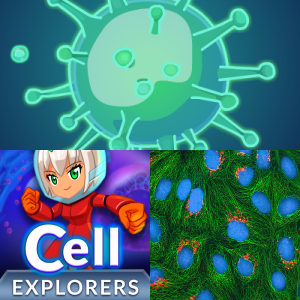 Student Lesson: Parts of the Cell 7.12D - Free Educational Games ...