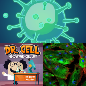 Lesson: Cells and Life MS-LS1.A-1 - Free Games and Assessments ...