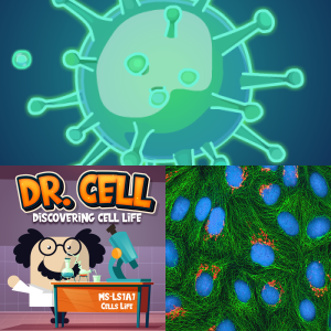 Game Based Learning: Cell Theory 7.12F - Free Games and Assessments ...